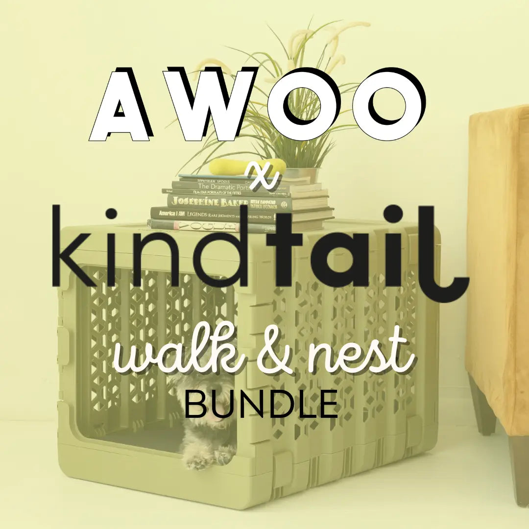 Dream Team Alert: Awoo x Kindtail Collab Launches the Walk and Nest Bu