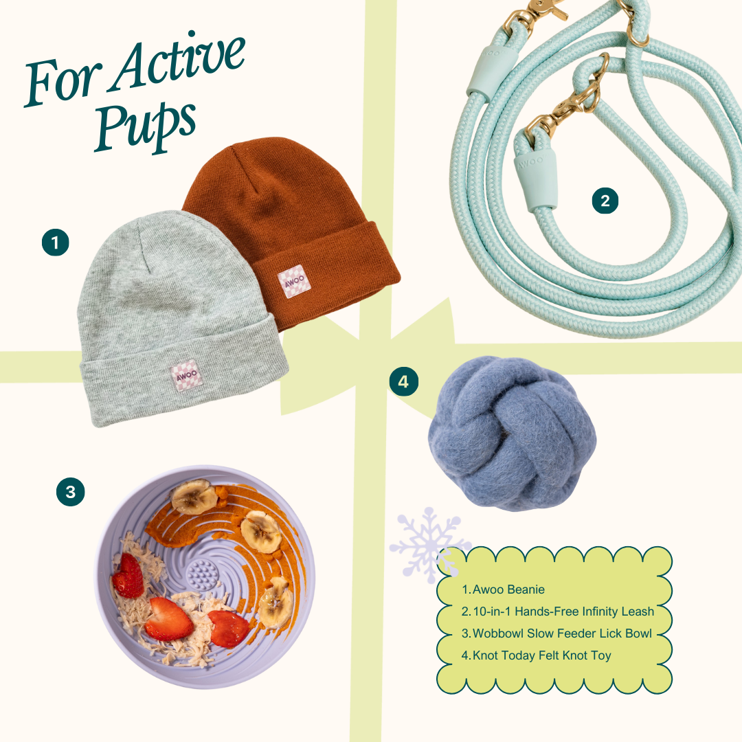 The Awoo Holiday Gift Guide