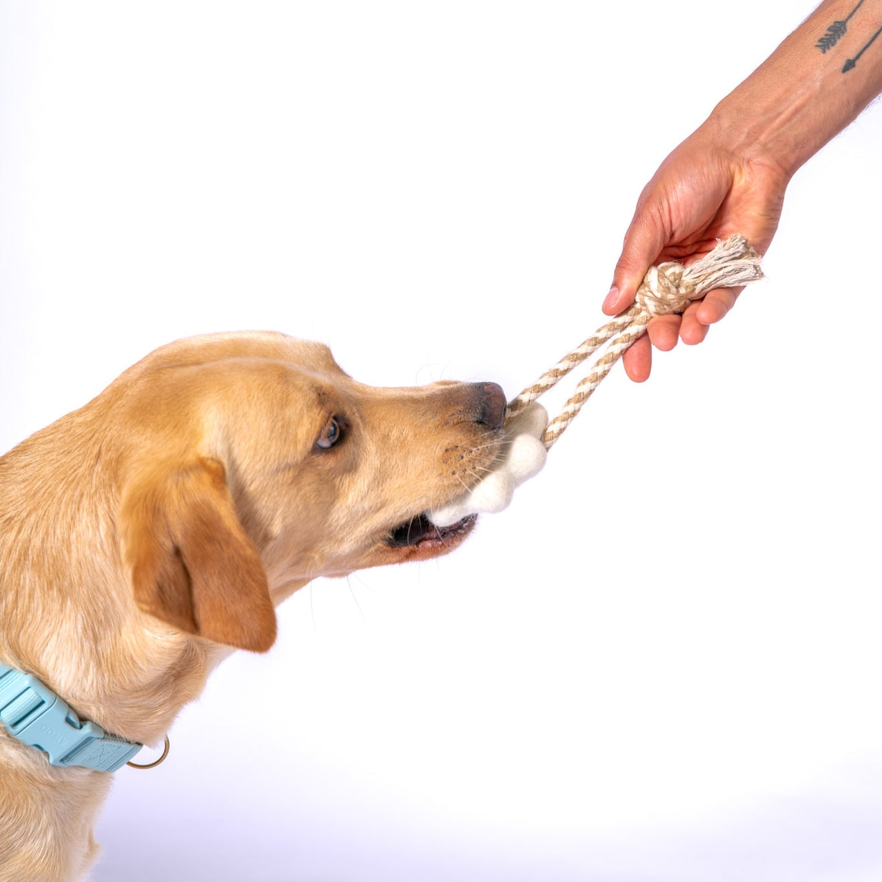 Wheely Good Time: Plastic-free, Organic Felt Wool & Cotton/Jute Rope ...