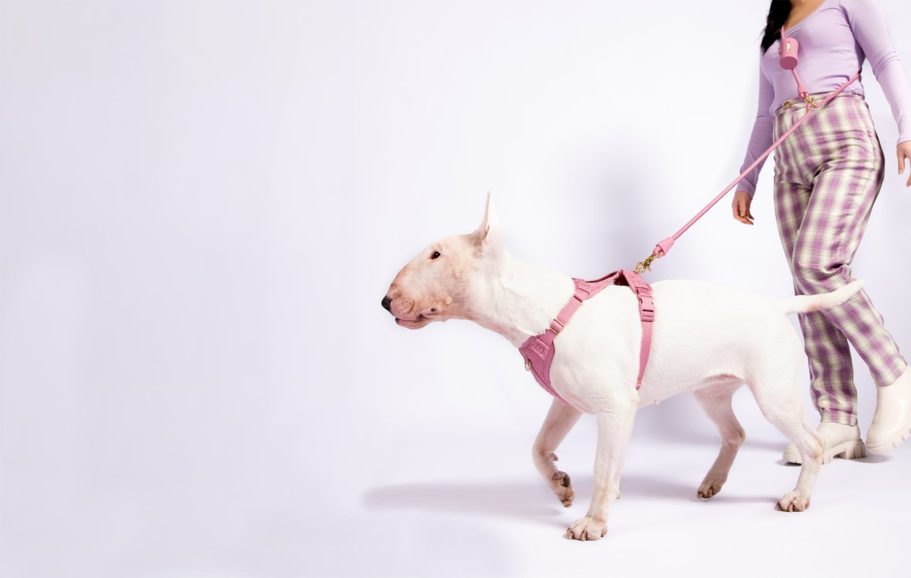 Awoo Pets I Independent, Recycled Pet Accessories & Plastic Free Toys