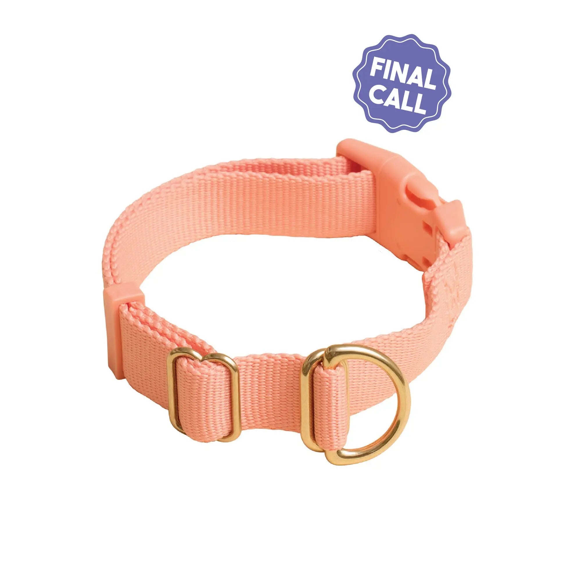 Pack Collar: The comfort fast-release buckle collar for your dog – Awoo