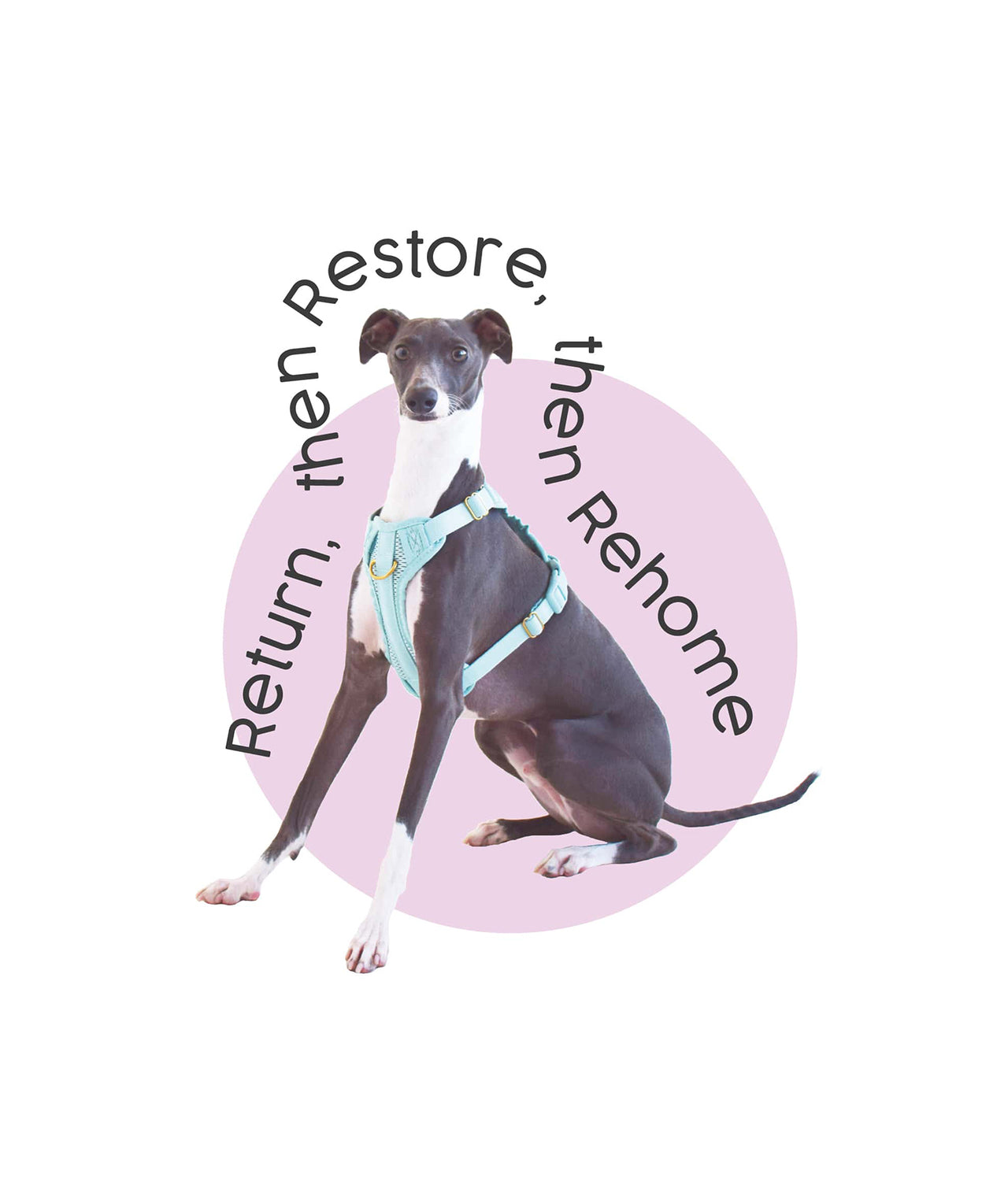 About FURever – Awoo