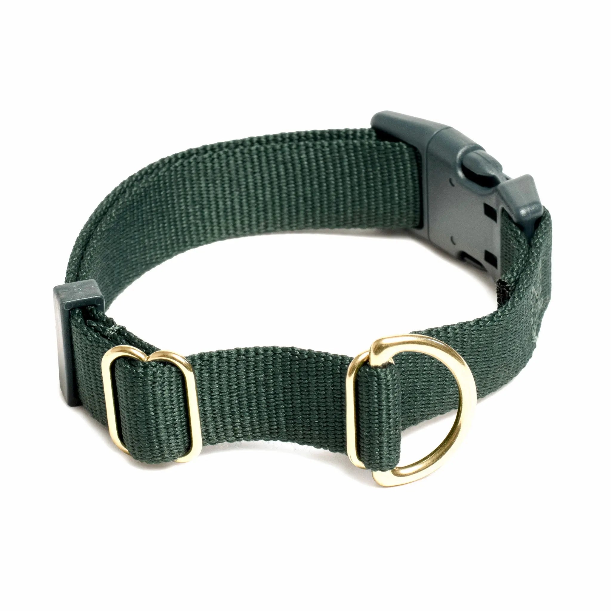 Pack Collar: The comfort fast-release buckle collar for your dog – Awoo