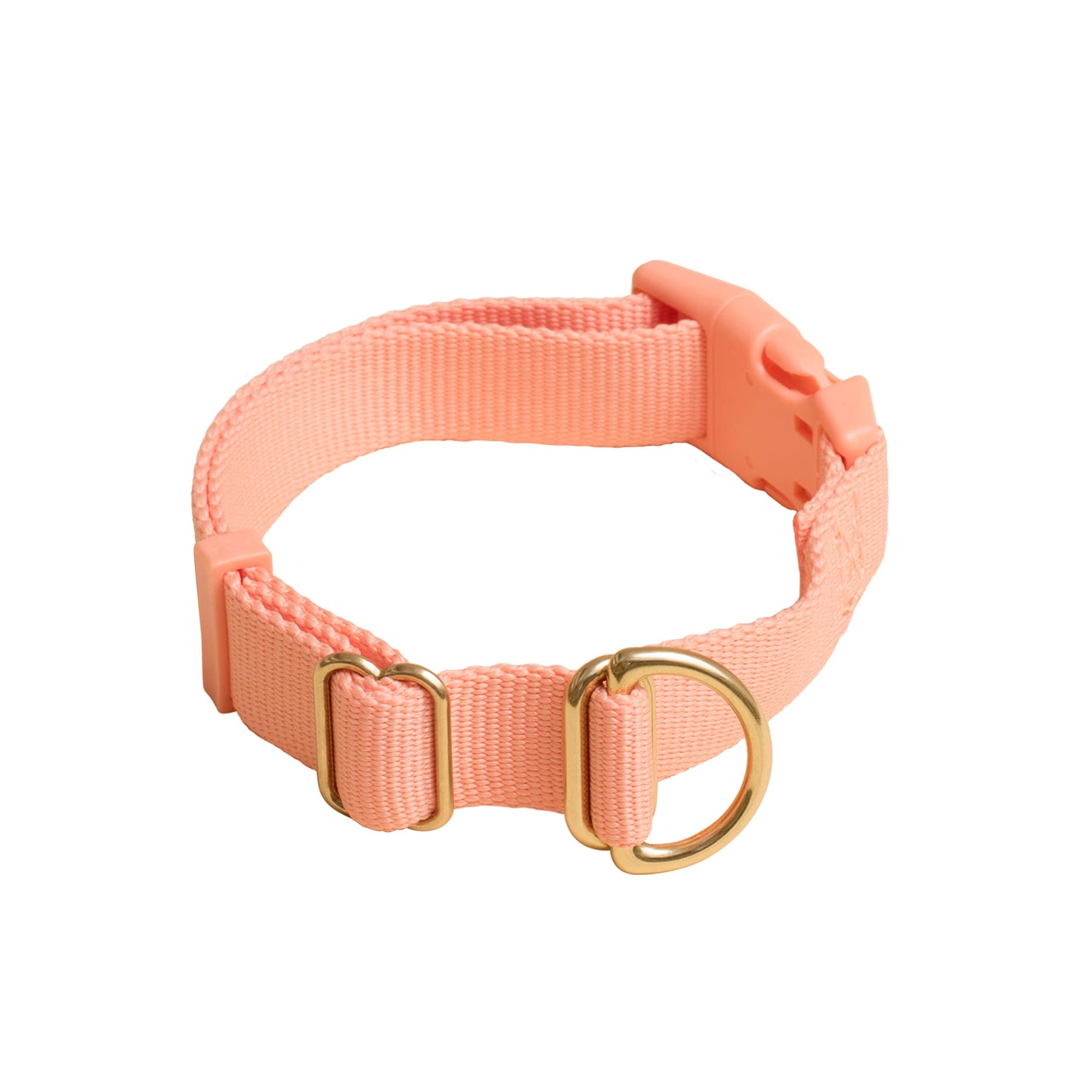 Pack Collar: The comfort fast-release buckle collar for your dog – Awoo
