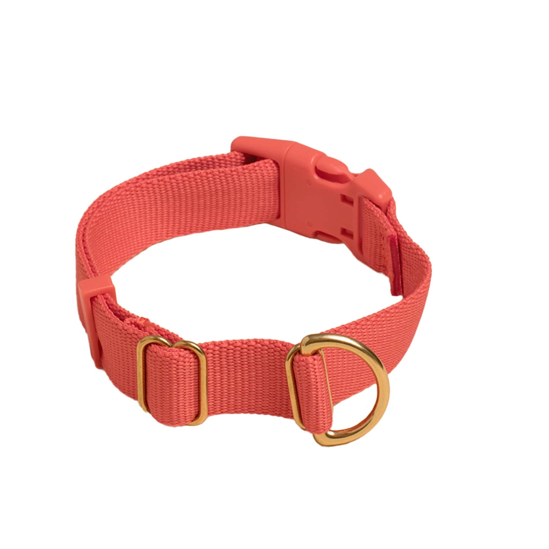 Pack Collar: The comfort fast-release buckle collar for your dog – Awoo
