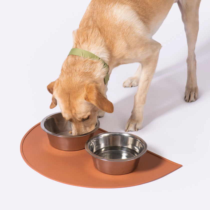 Splash Mats; Silicone Protective Floor Mat for Dog Feeding Time – Awoo
